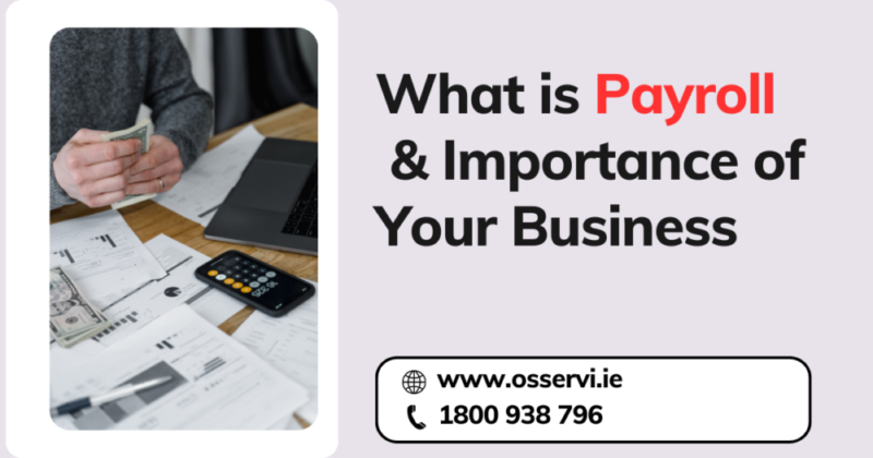 Payroll Services | Outsourced Payroll Ireland | Osservi