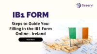 IB1 FORM IRELAND - HOW TO FILL IN IB1 FORM ONLINE - Payroll Services ...